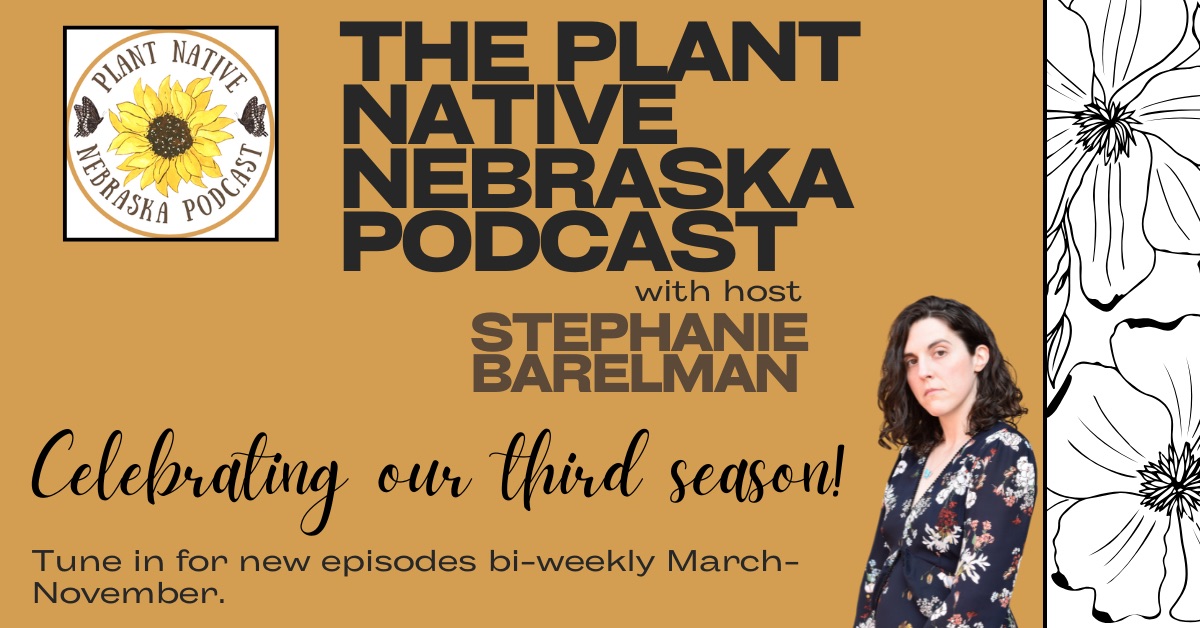 A Native Plants Podcast With Host Stephanie Barelman