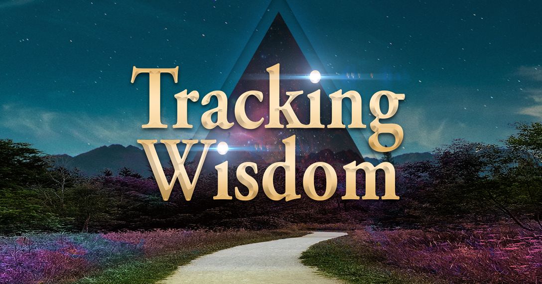 Tracking Wisdom - Explore, Learn, Grow