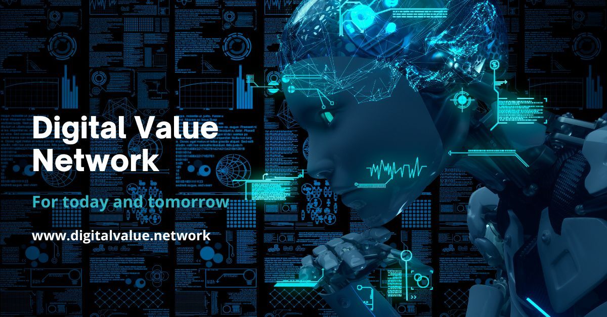 Digital Value Network: Empowering Digital Excellence