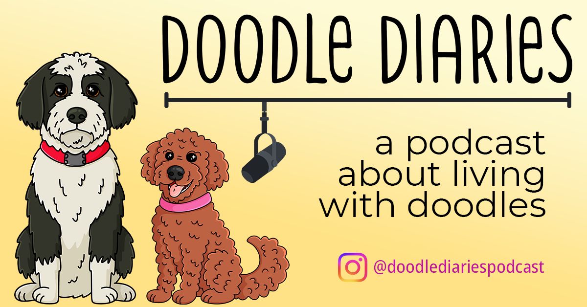 Doodle Diaries podcast | stories of living with doodles